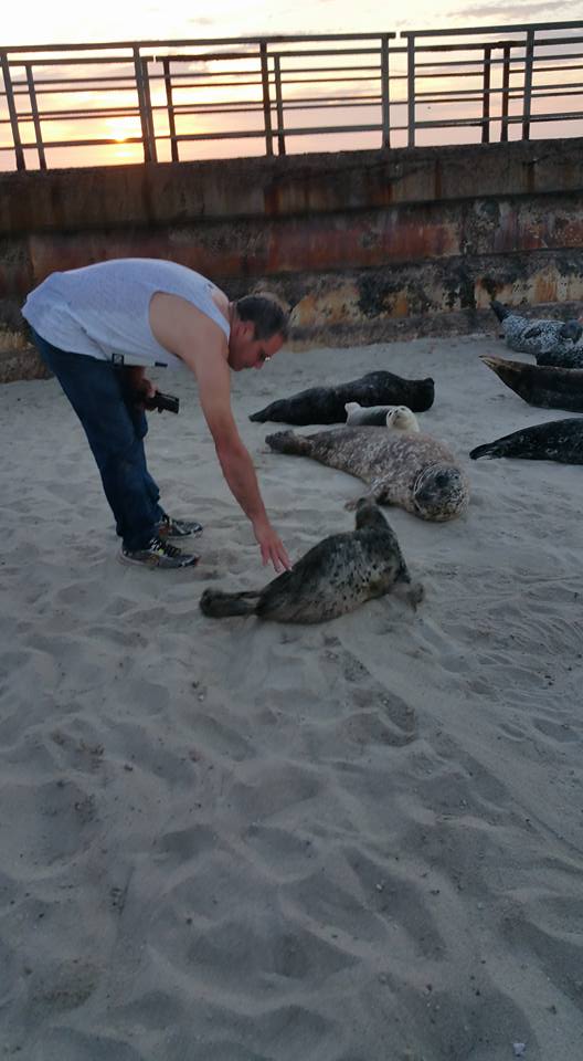 06-19-2015 Man touching seal | Seal Conservancy